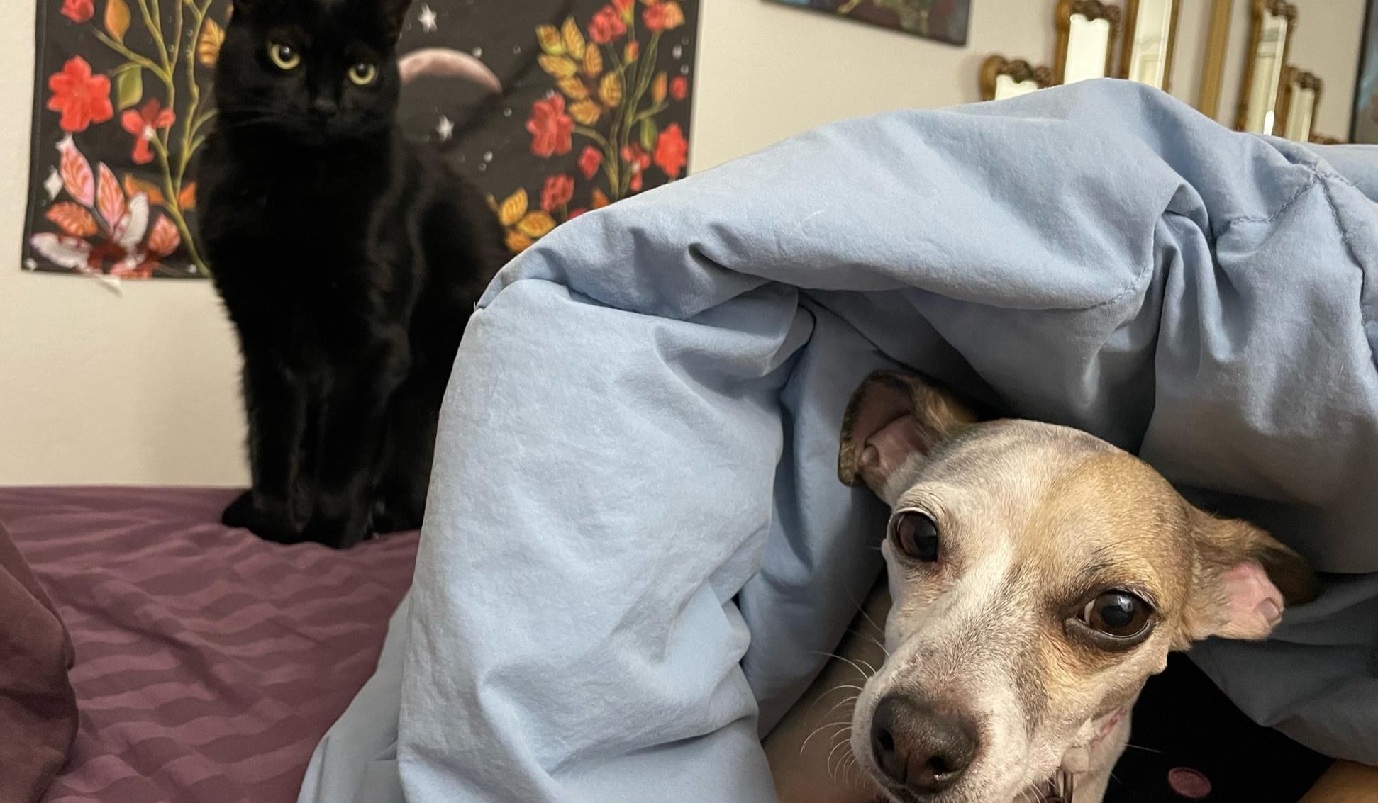 Kenzie Watson and Wesley Howden's Wedding Website