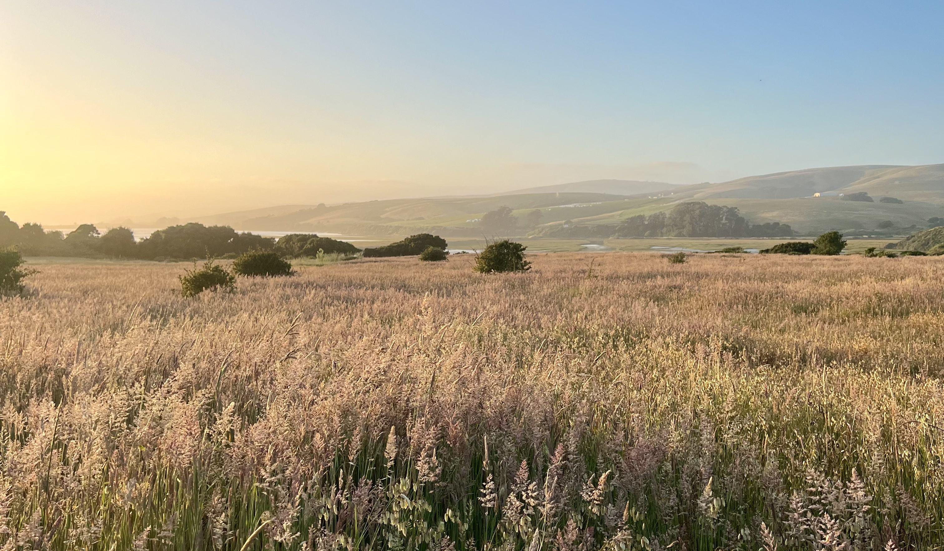 Cierra Manzoni and Ben Davenport's Wedding Website