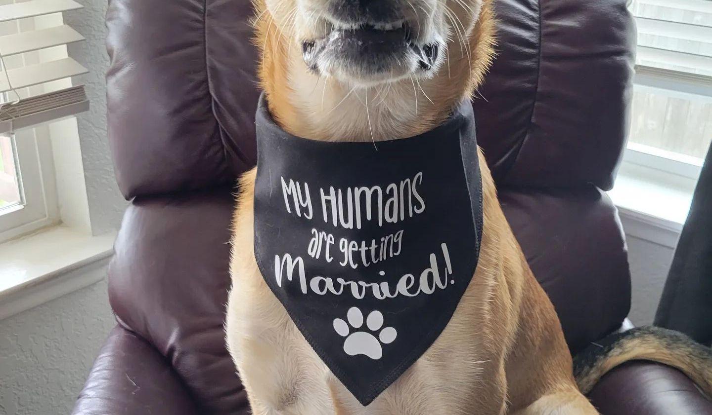 Sarah Gerken and Ryan Herbel's Wedding Website