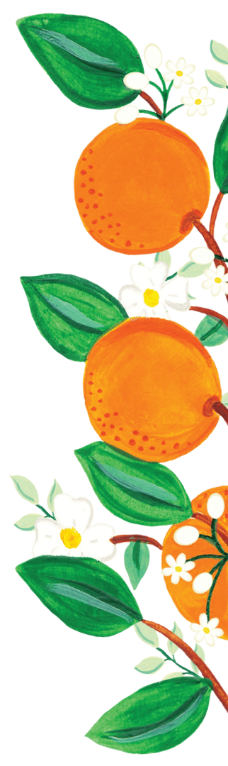 Erin Field and Jack Benziger's Wedding Website