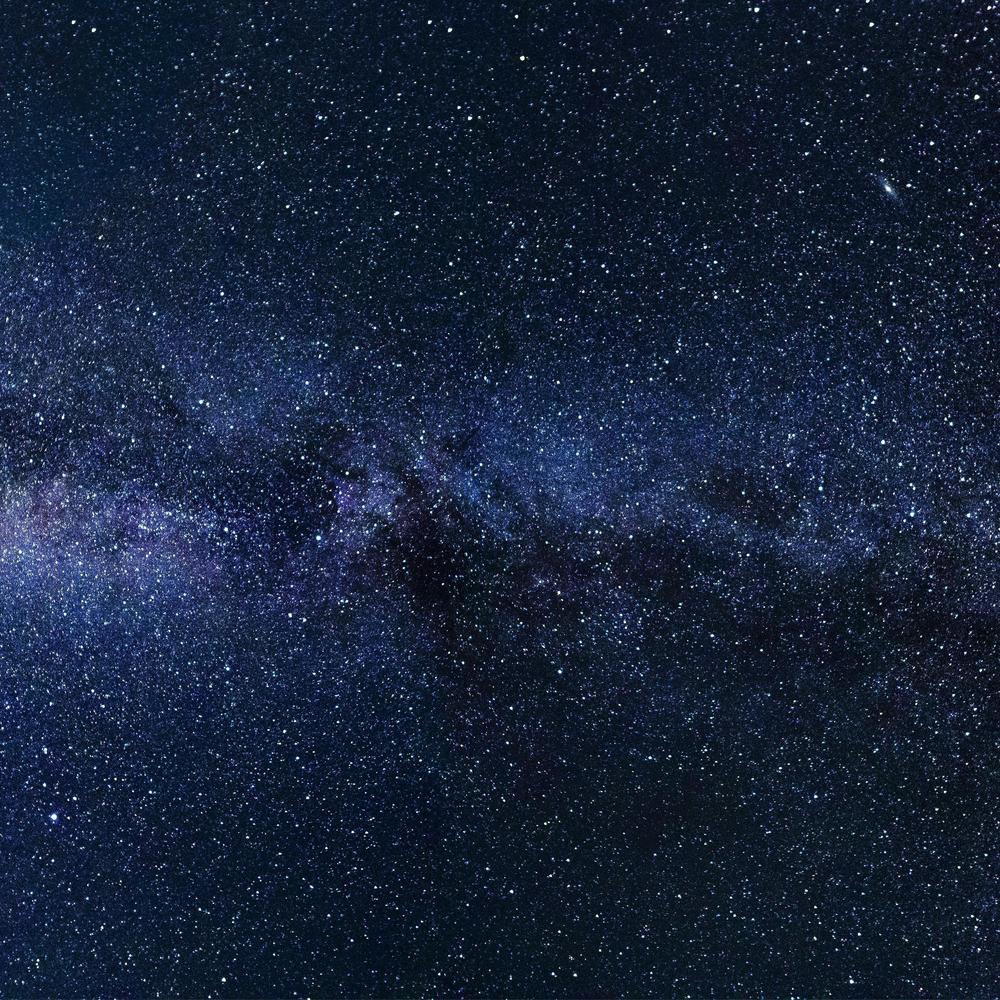 Ryan Olivia Funderburk and William Edward Piele's Wedding Website