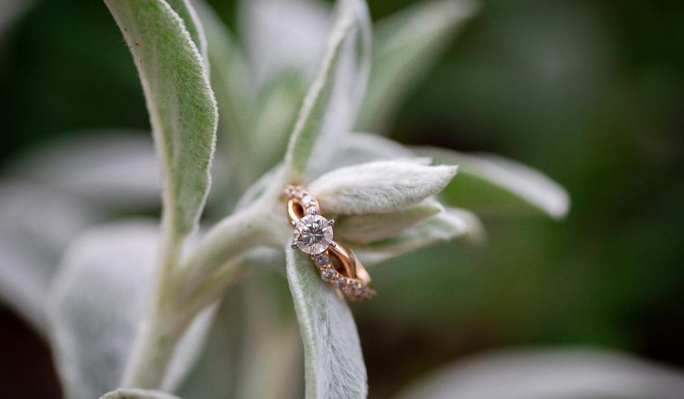 Caitlin Truelove and Benjamin Doty's Wedding Website