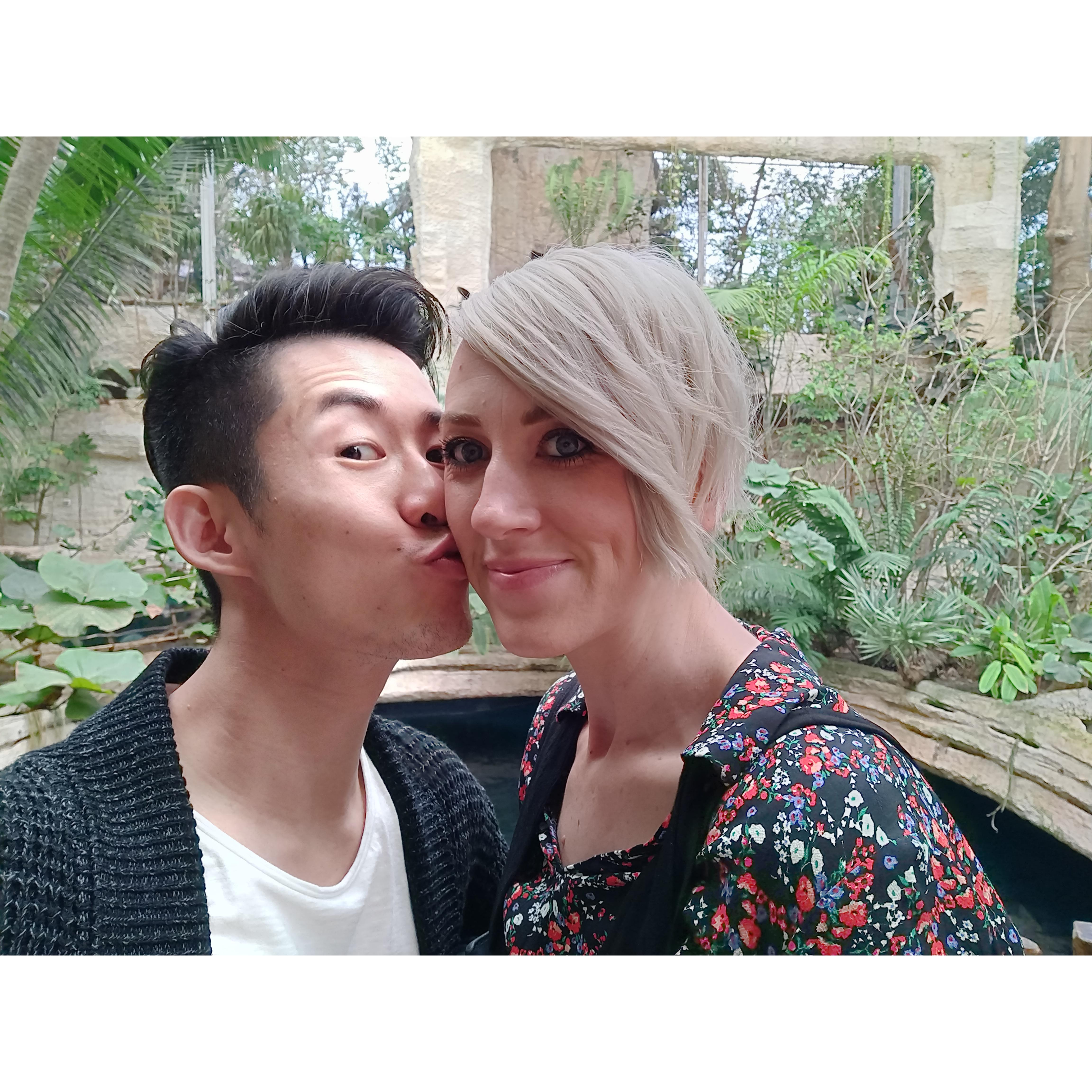 Layne Eiler and Jamie Wang's Wedding Website