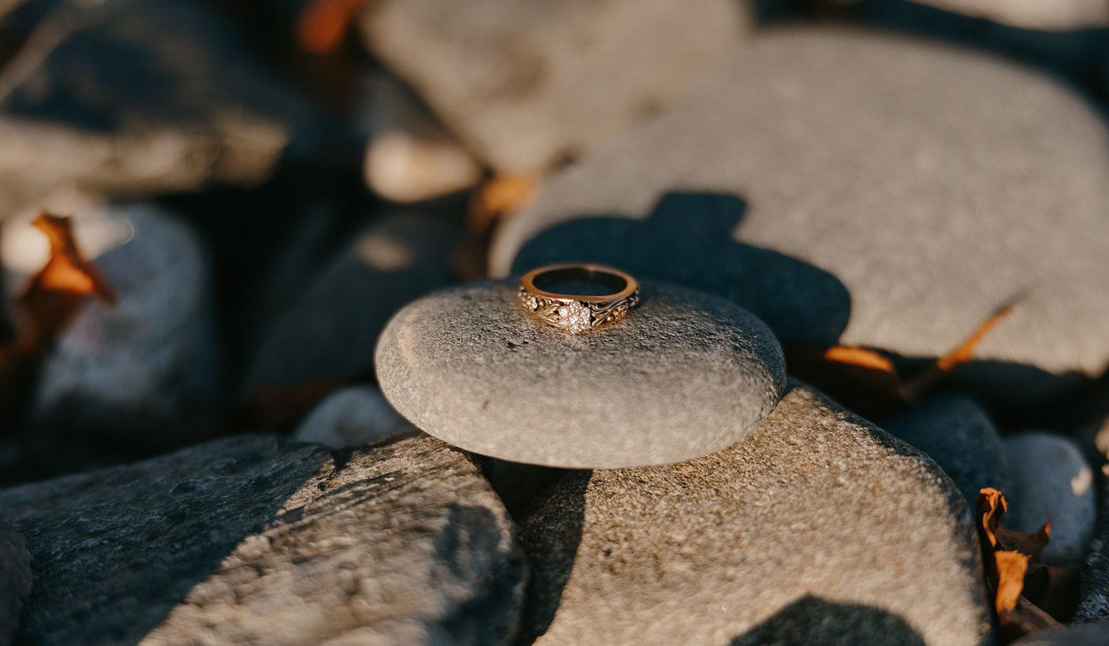 Tové Benyard and Jack Roy's Wedding Website