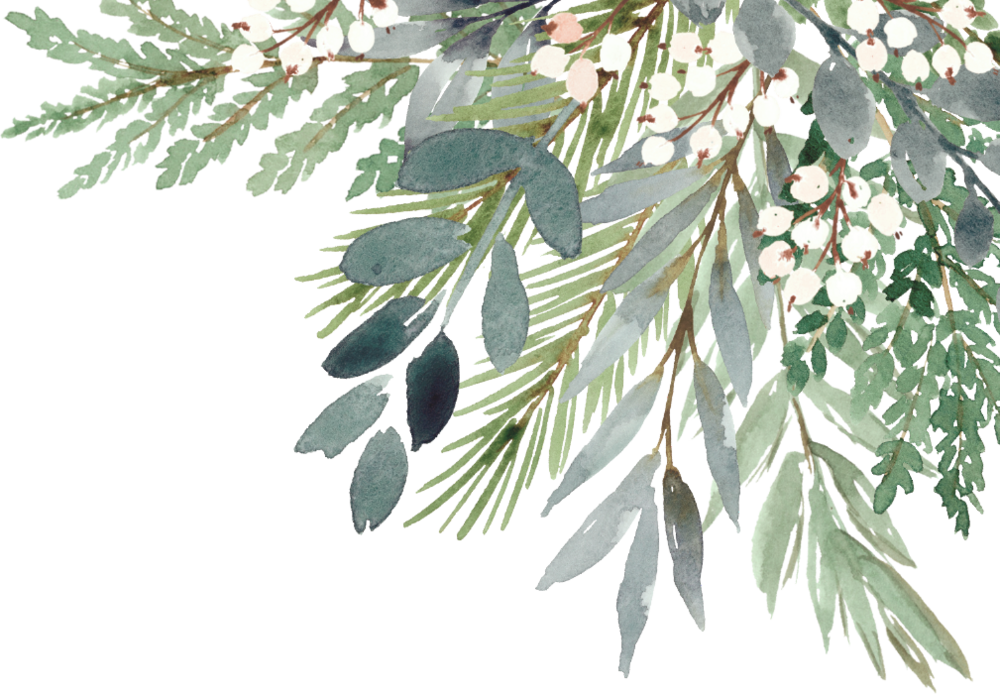 Heather Maguire and Michael Streb's Wedding Website