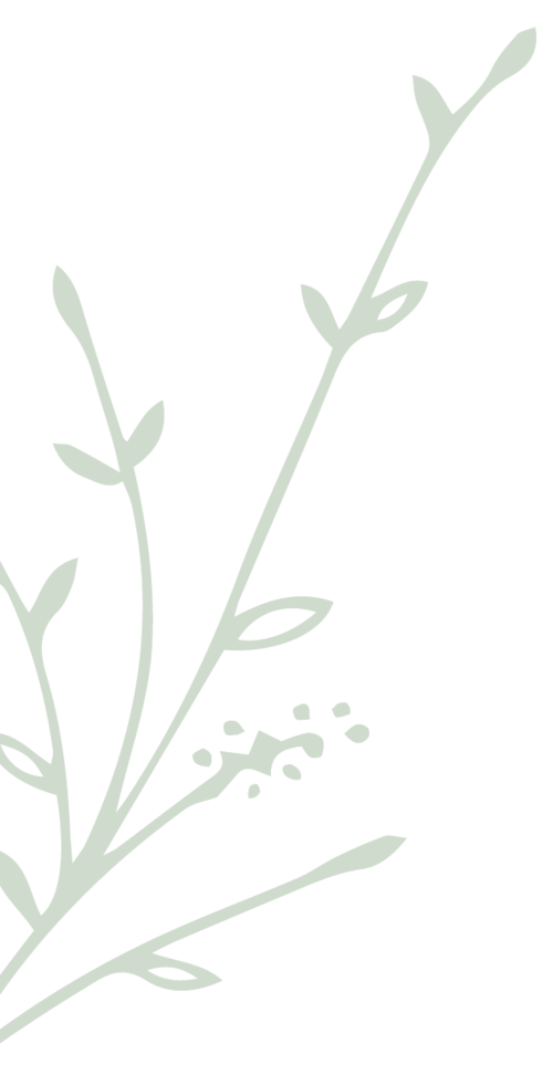 Morgan Beans and James Leyden IV's Wedding Website