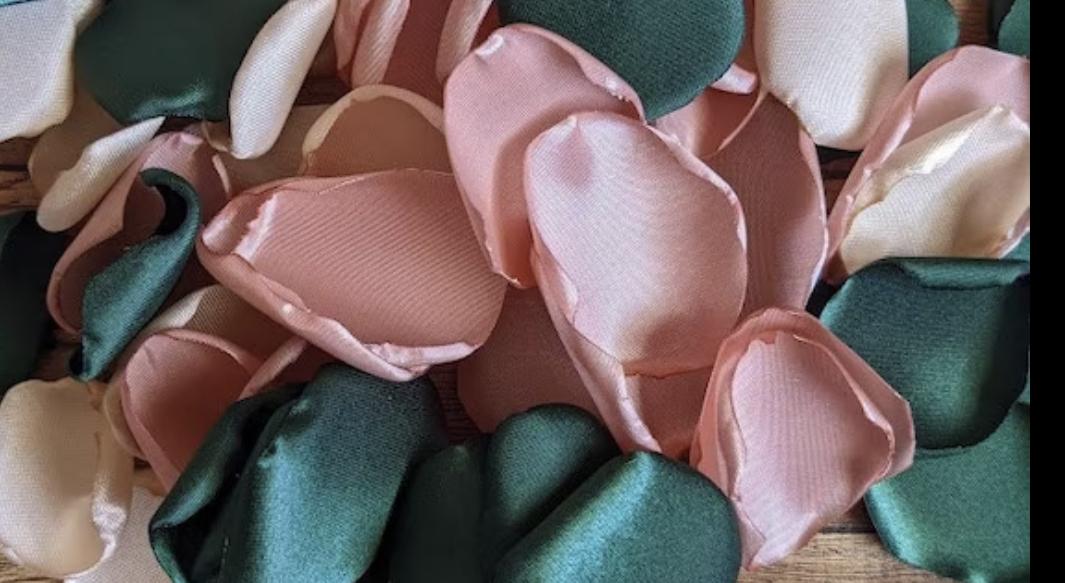 Aryel Thomas and Brandon Jemison's Wedding Website