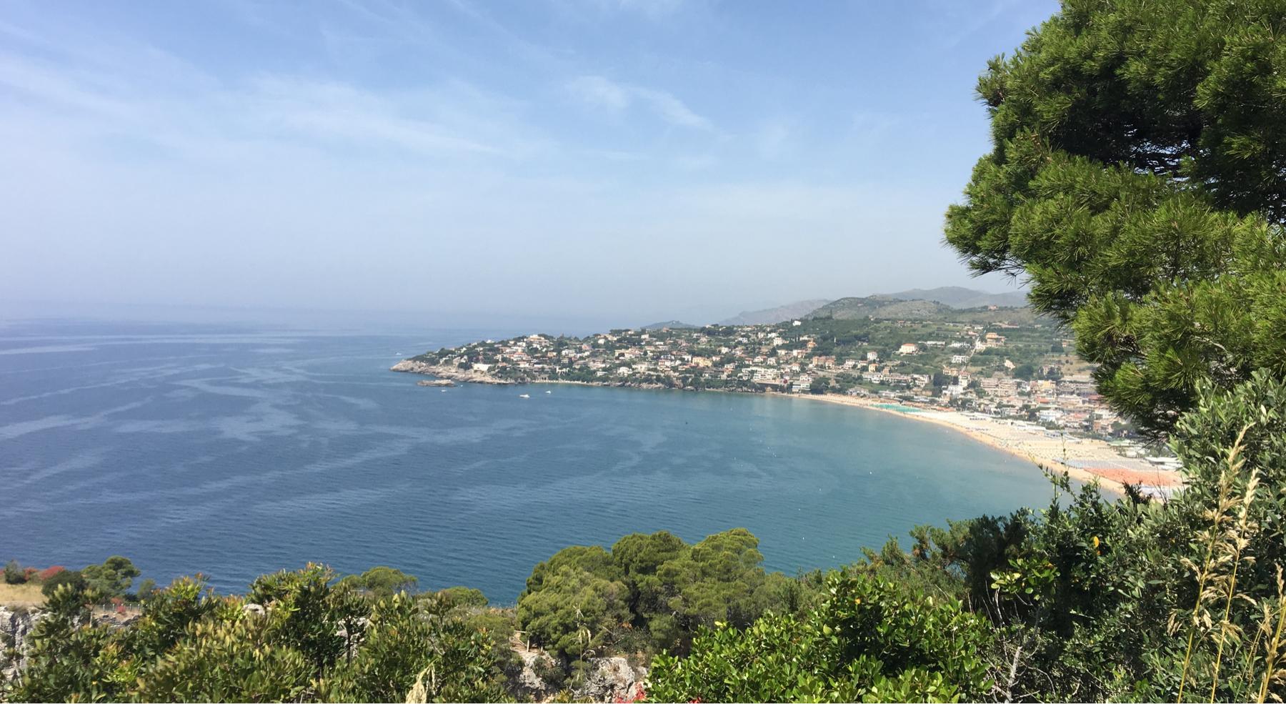 Chelsie Scully and Dan Rice's Wedding Website