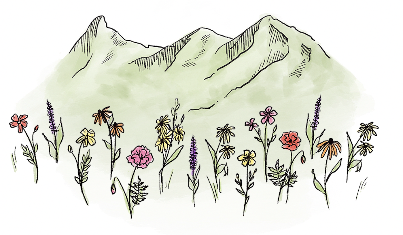 Brynn Gasparino and Peter Gerson's Wedding Website