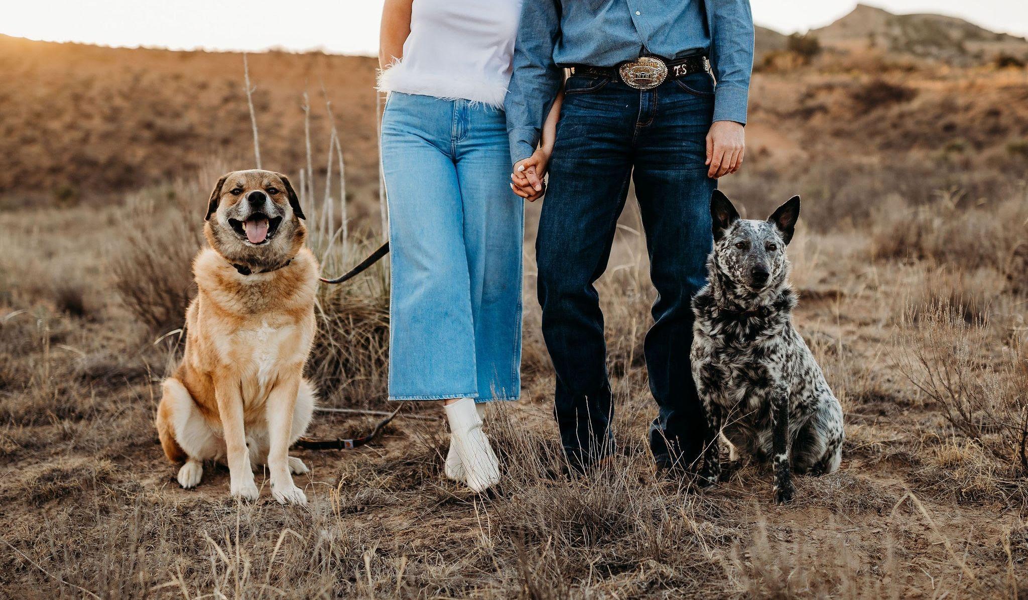 Morgan Johnson and Ty Still's Wedding Website