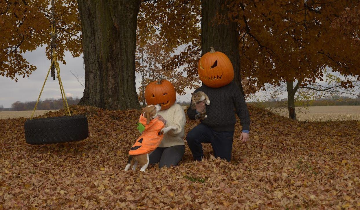 Madeleine Fagan and Gabriel Hawley's Wedding Website