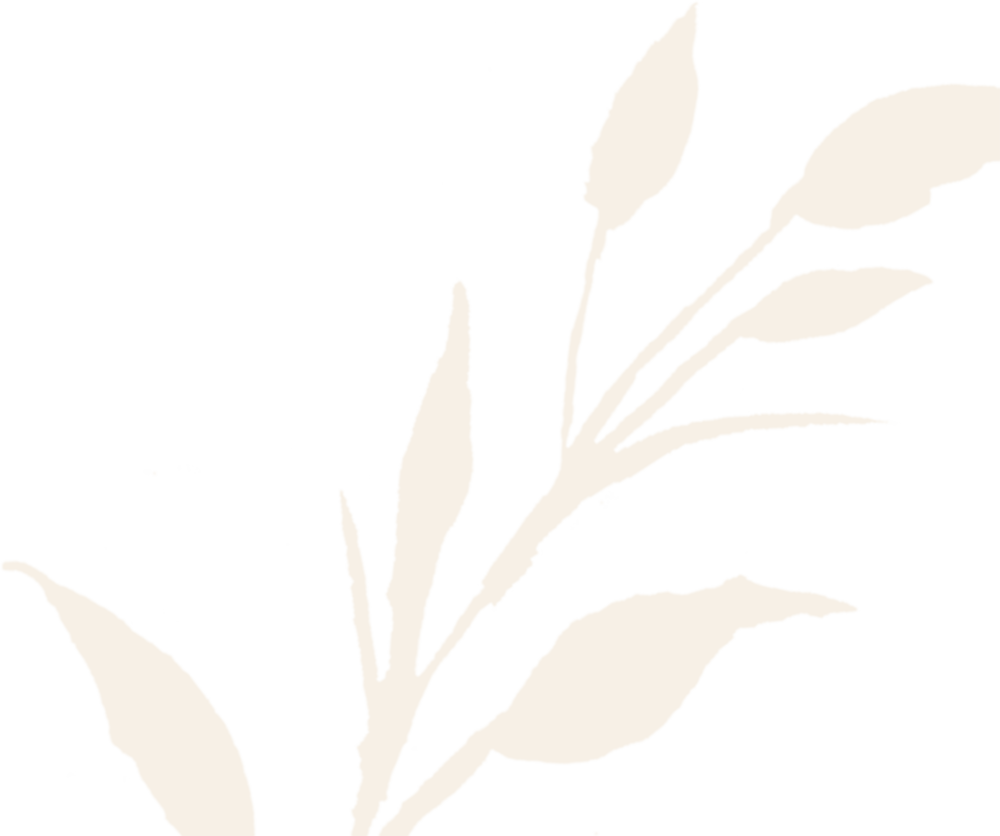 Theresa Loconsolo and Alex Peragine's Wedding Website