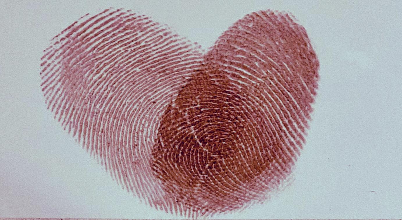 Allison Musso and Stephen Vedder's Wedding Website