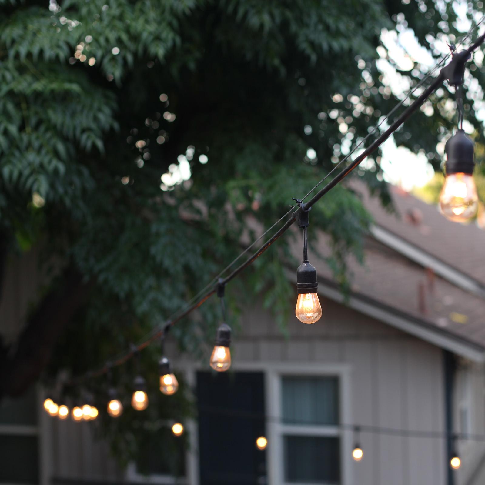 Bulbrite, 14' Vintage Bulbs String Light Kit | Zola