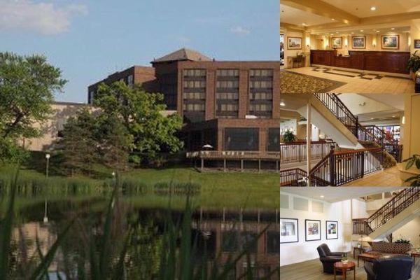 Mike Adams and Diane Ratz's Wedding Website