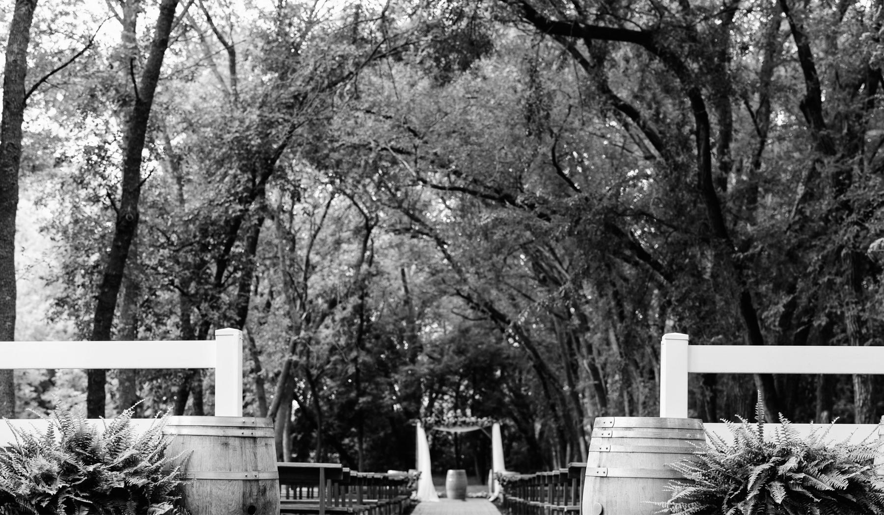 Christine Lindquist and David Adams' Wedding Website