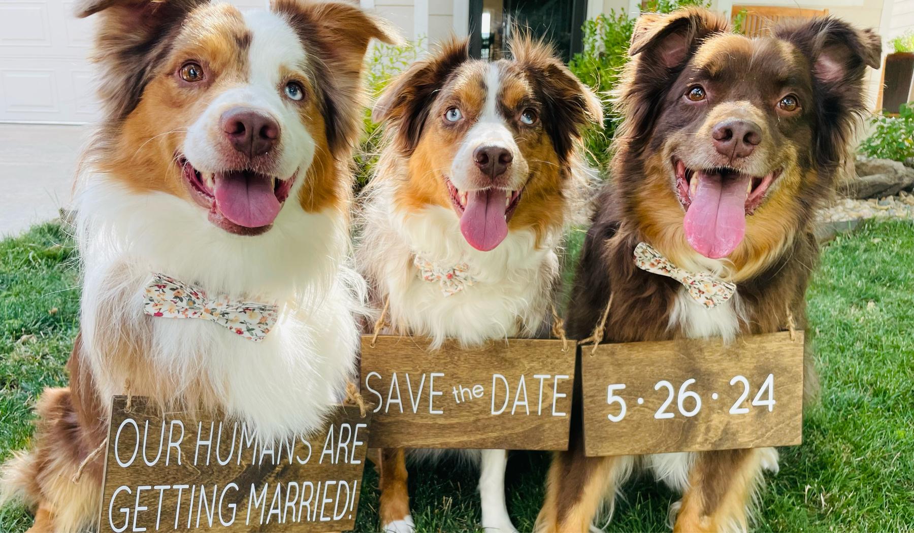 Caren Lauffer and Kyle Cunningham's Wedding Website