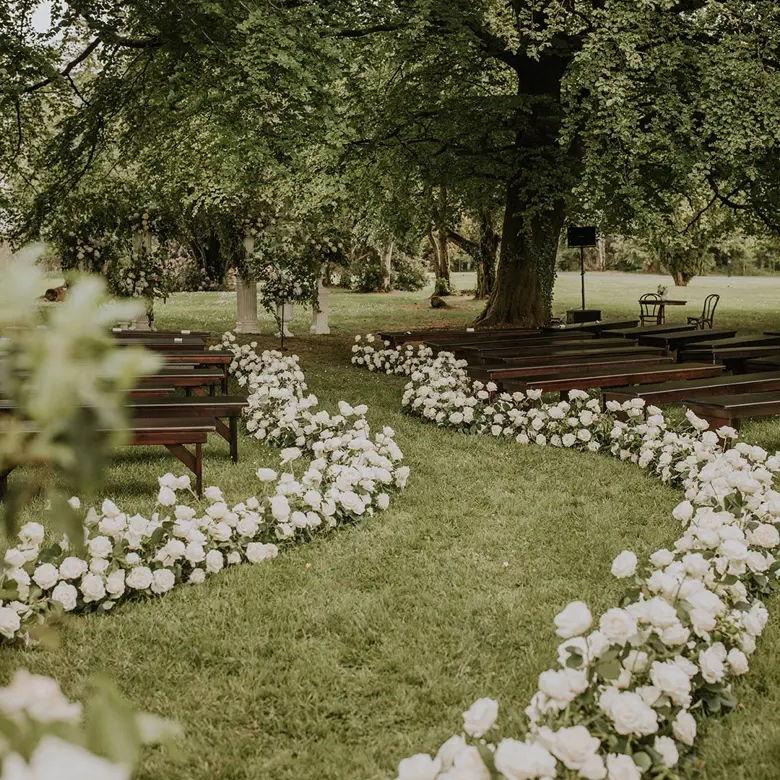 Luke Nienaber and Sara Mulvey's Wedding Website