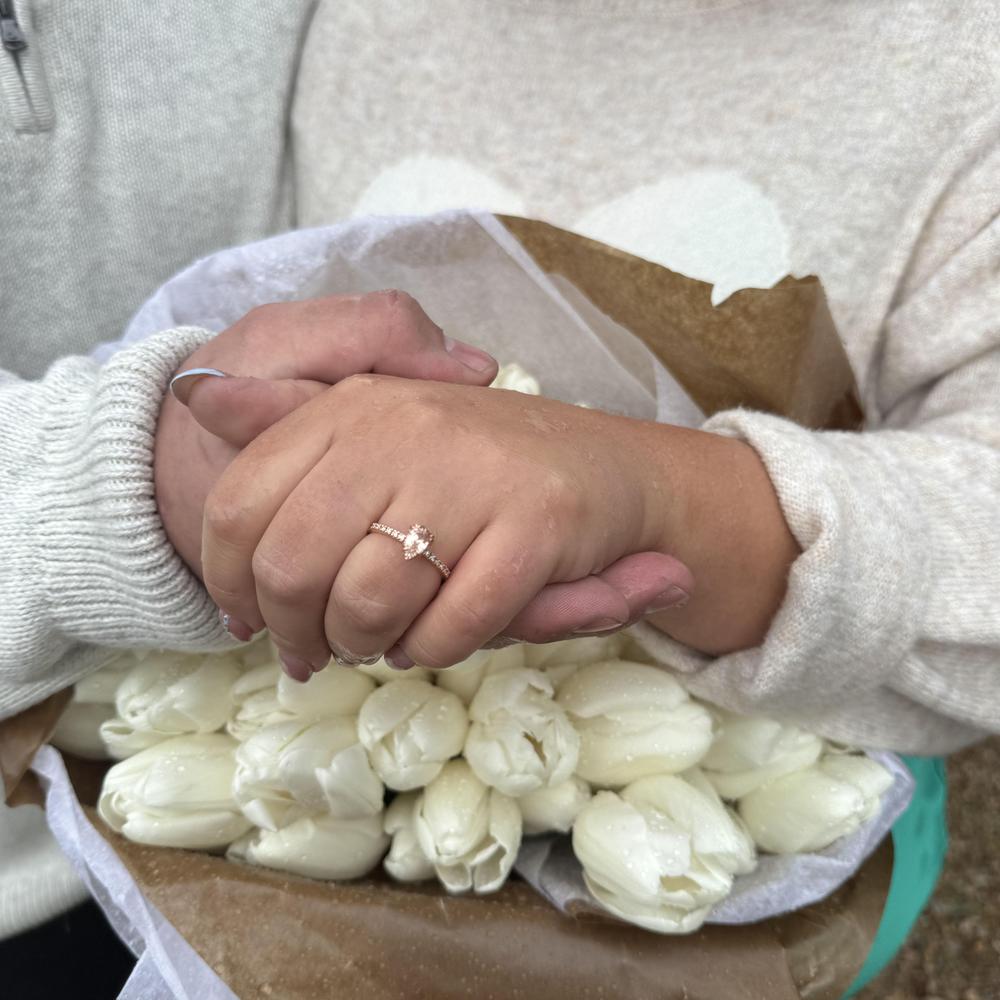 Victoria Oleynik and David Derov's Wedding Website