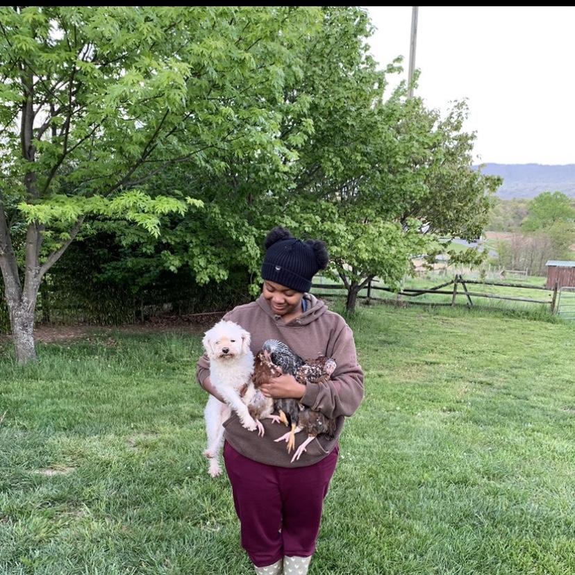 Sarah Guillory and Donal Callis' Wedding Website