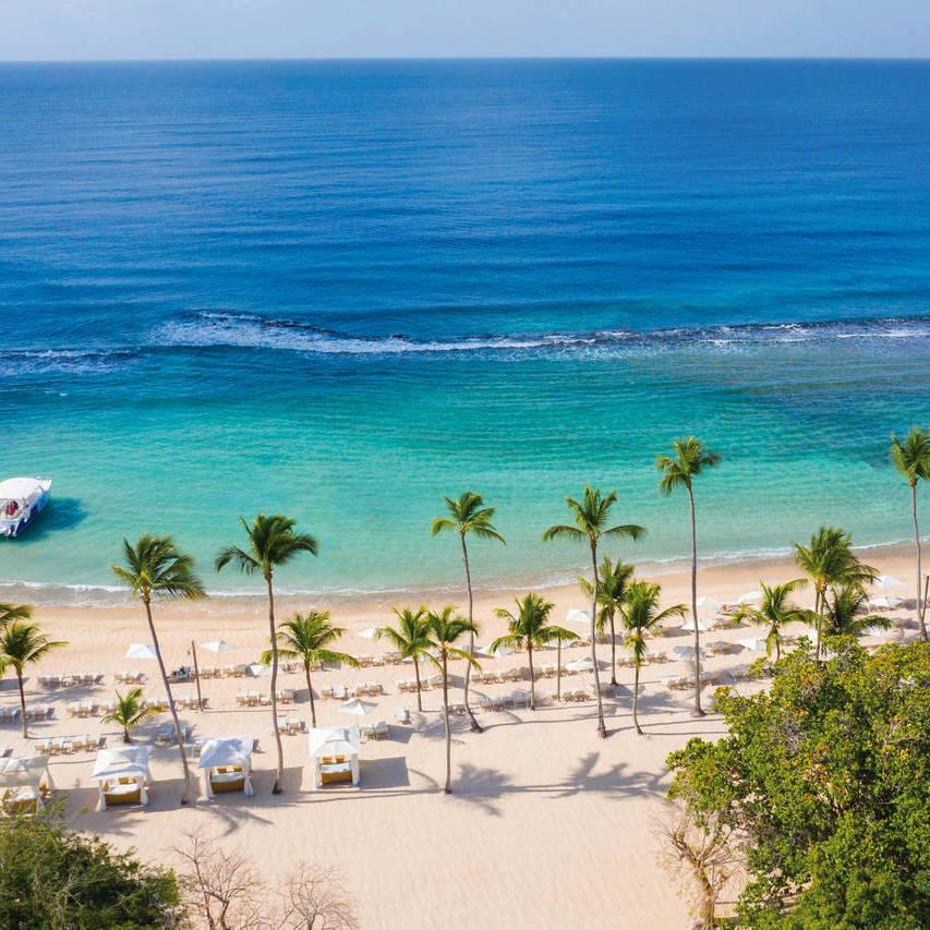 Lexi Chester and Dalton Wiedman's Wedding Website