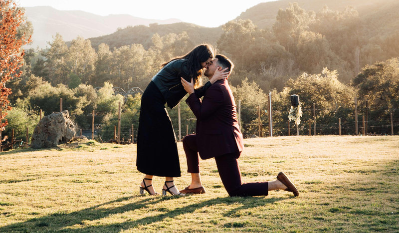 Hayley Clover and Robert Munley's Wedding Website