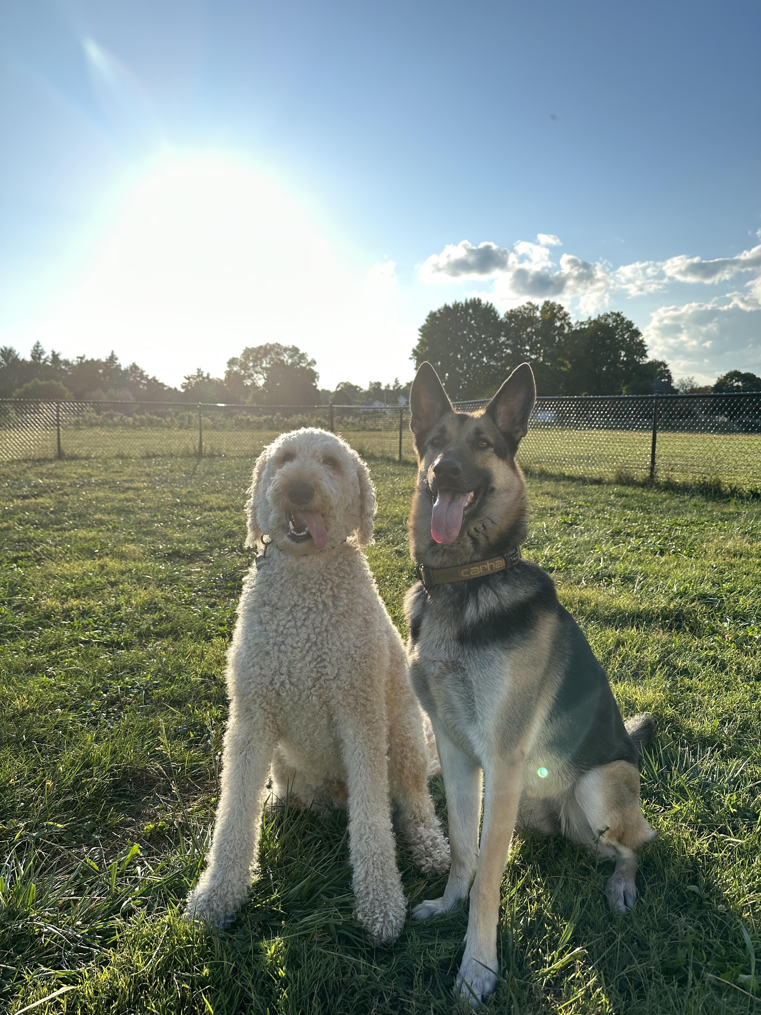 Valeria Gamarra and Kenneth Kile's Wedding Website