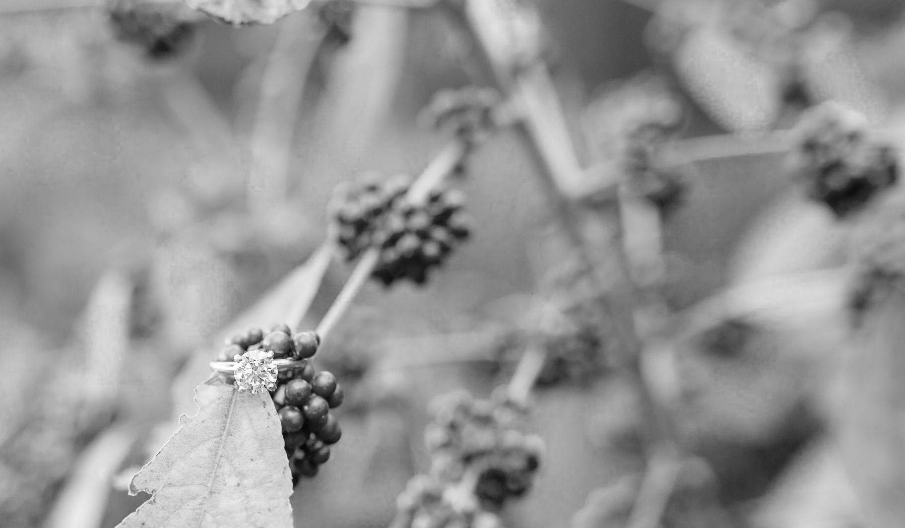 Holly Tidd and Jesse Lucio's Wedding Website