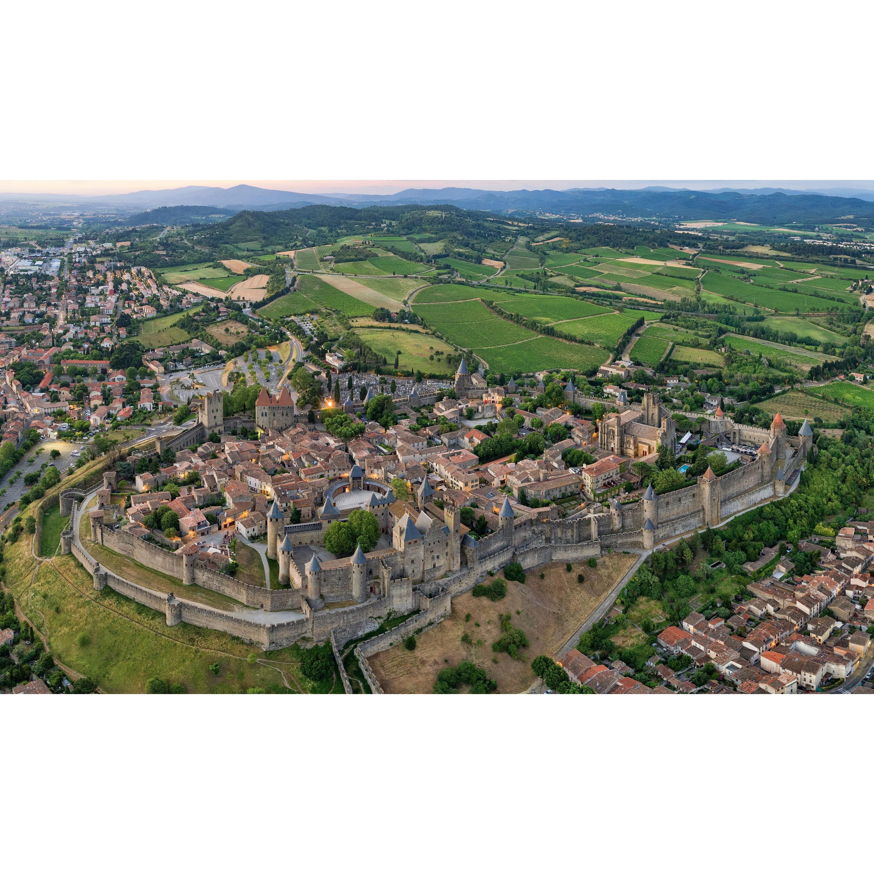 Dale Hendricks and Léa Solomiac's Wedding Website