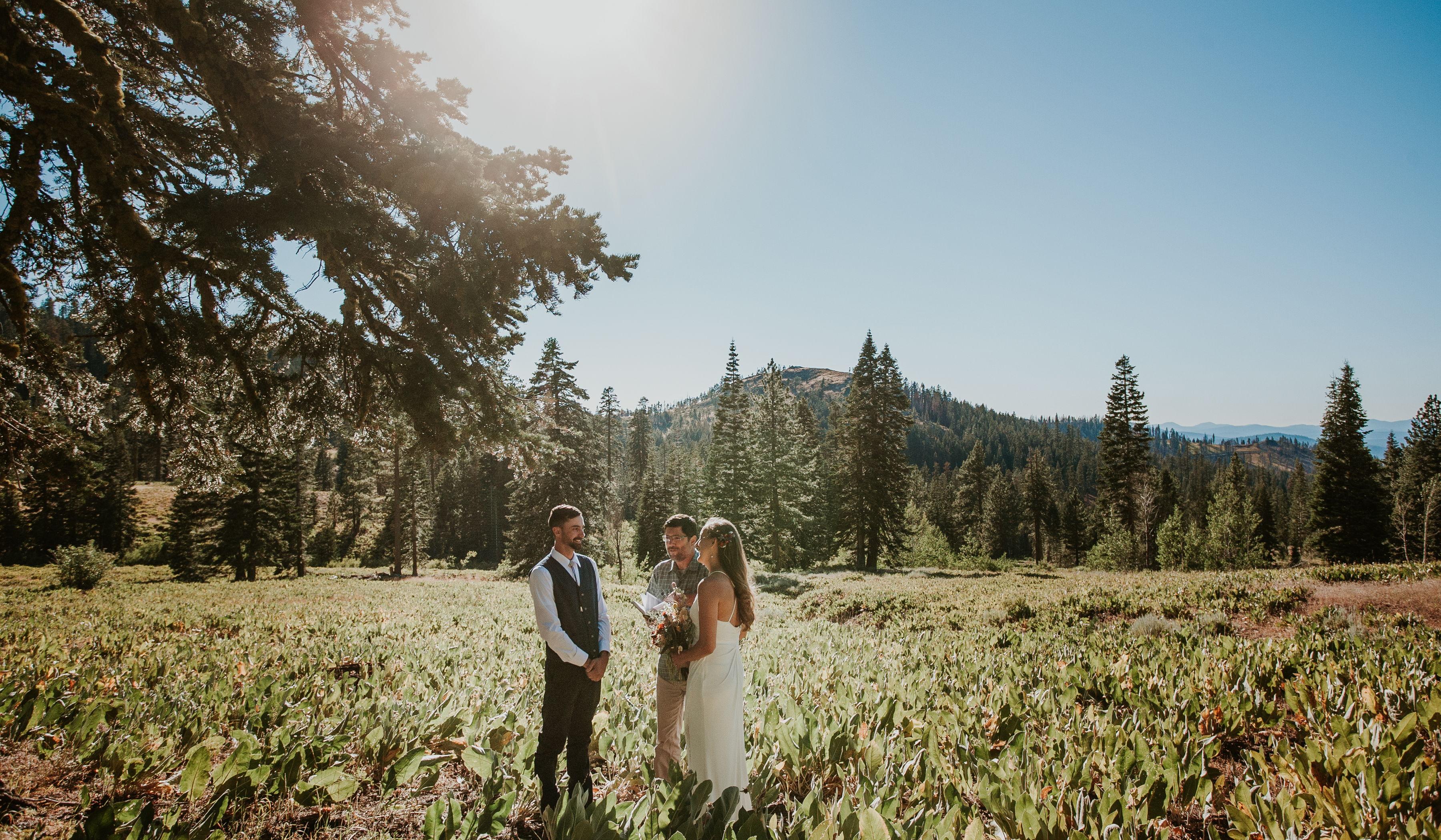 Cass Treece and Byron Treece's Wedding Website