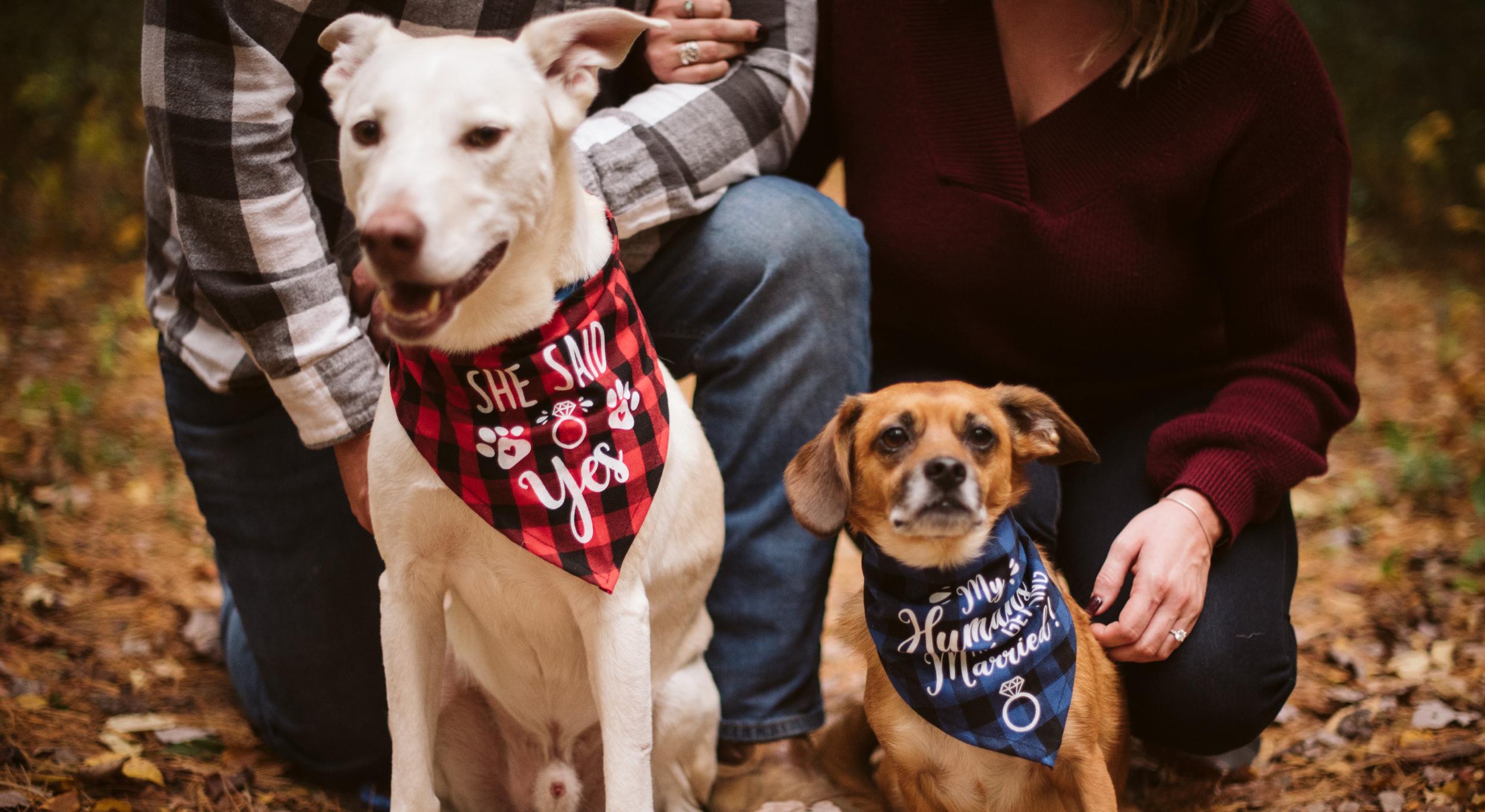 Taylor Ison and Logan Maly's Wedding Website