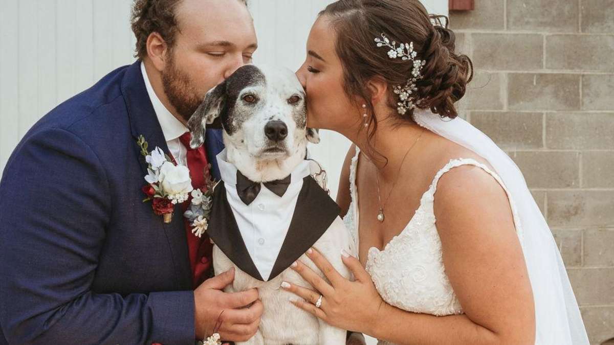 Oduma Photography | Wedding Photographers | Cost, Reviews & Photos | Zola