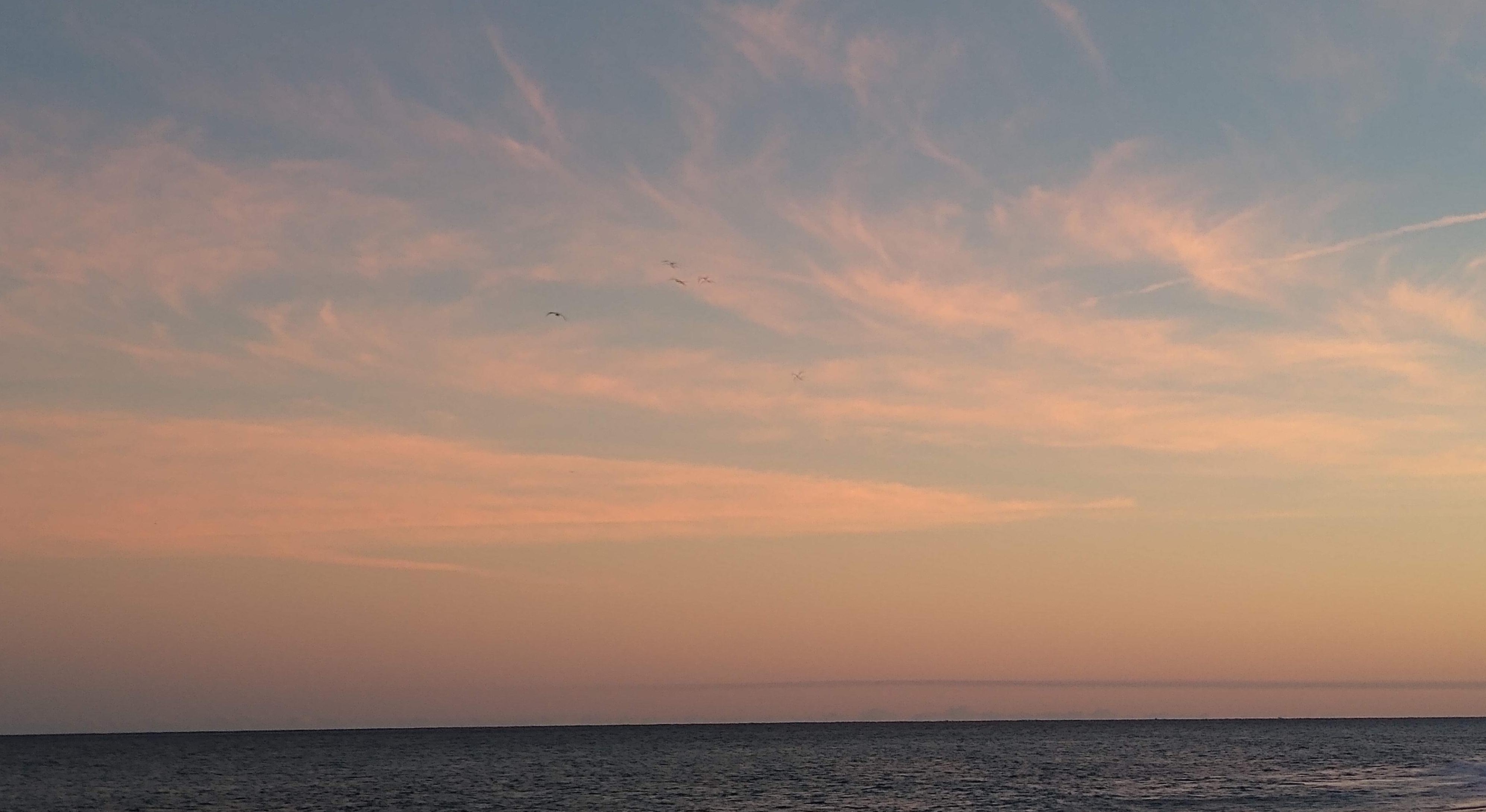 Sebrina Russell and Michael Poag's Wedding Website