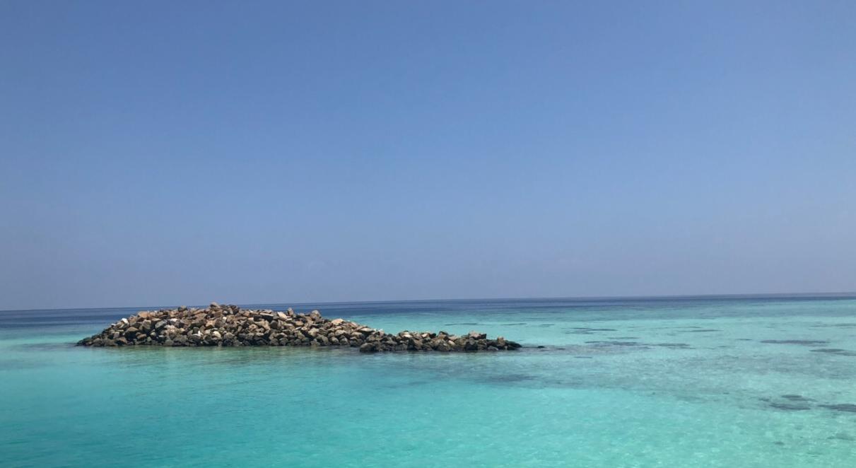 Yingyi Feng and Shuai Wang's Wedding Website