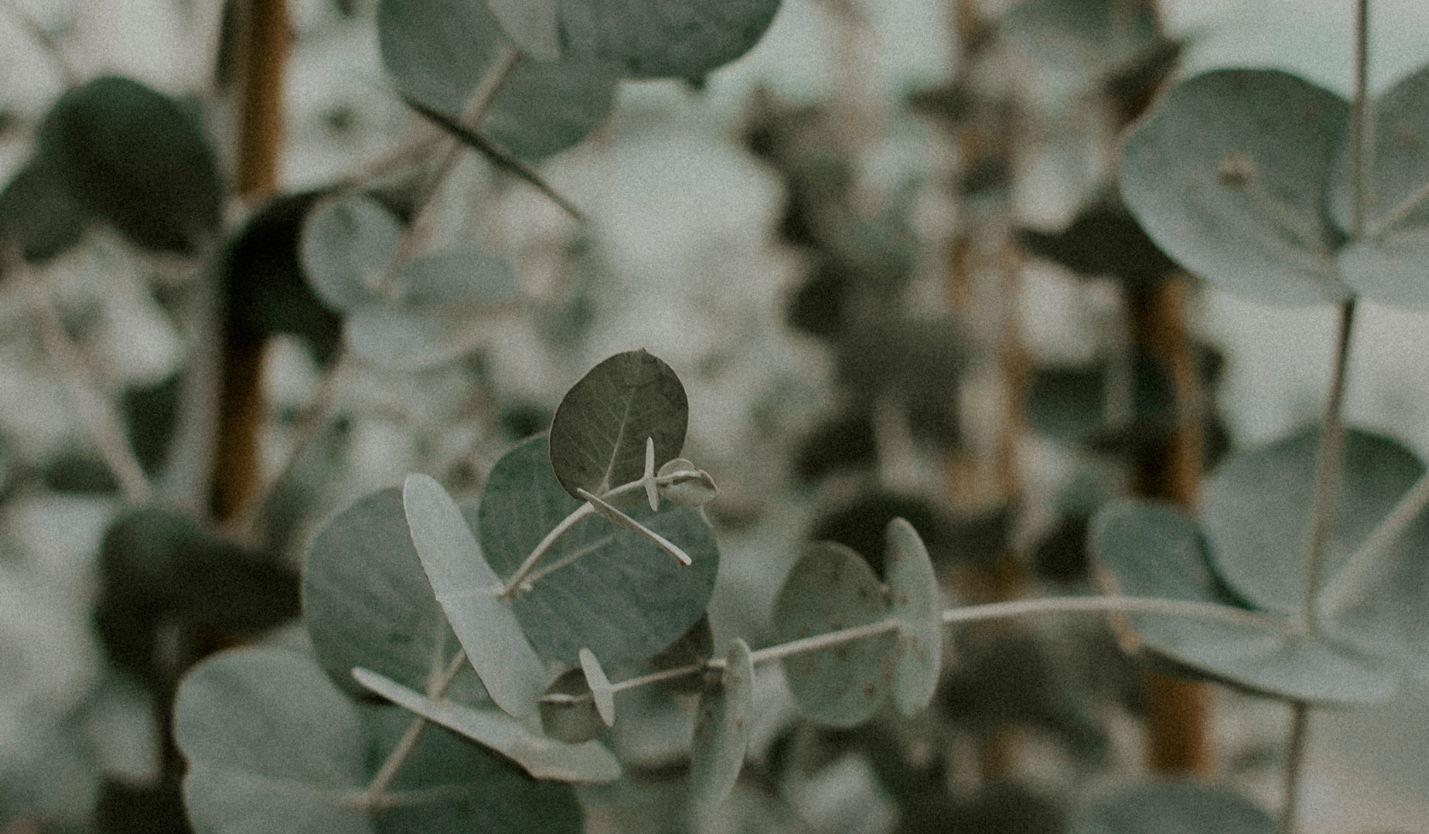 Yanira Rubio and Raymond Rubio's Wedding Website