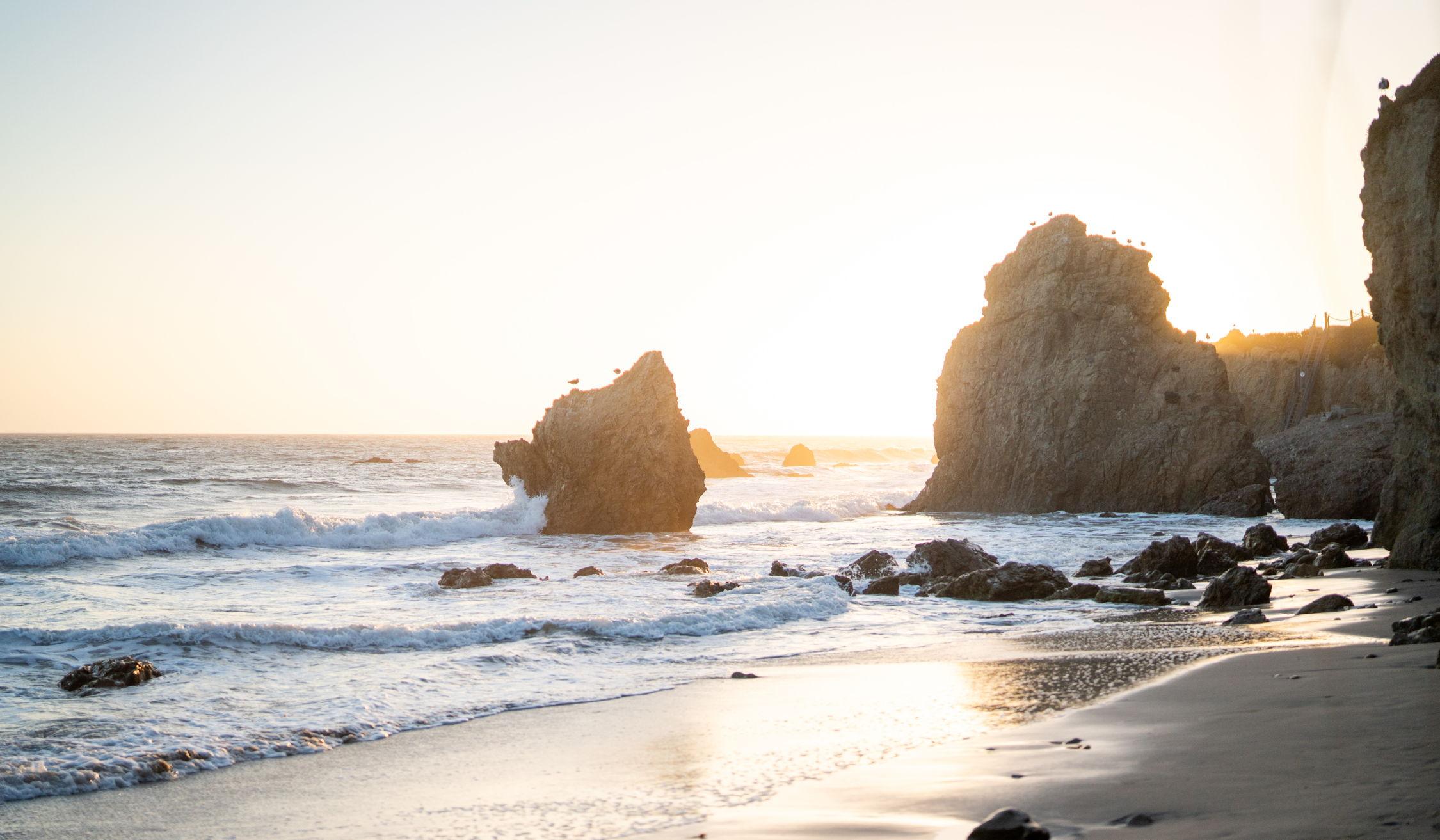 John Babick and Diana Coronado's Wedding Website