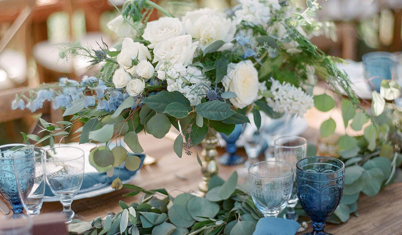 Savannah Swenson and Vashaun Morgan's Wedding Website
