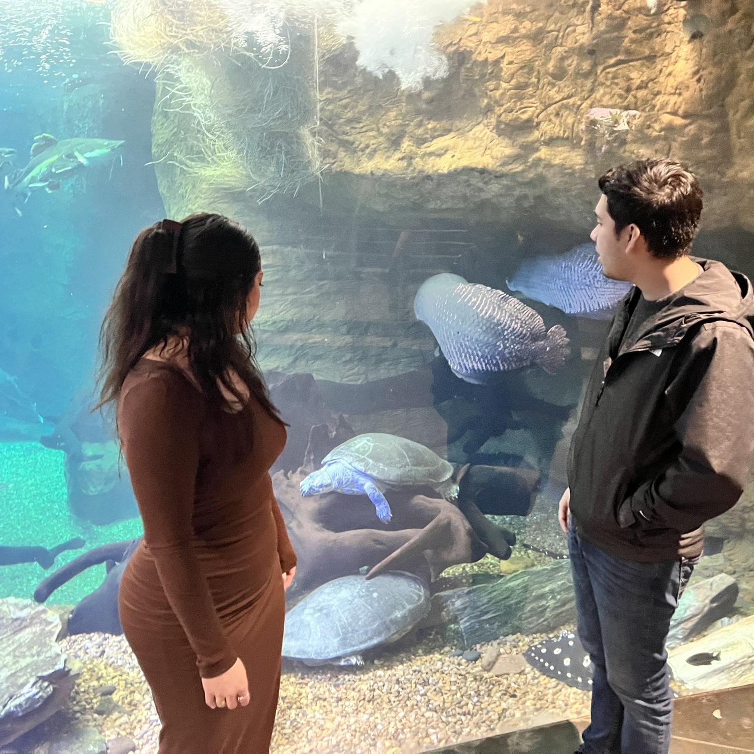 Shaylin Bree Meyers and Sebastian Alejandro Mendivil Guerrero's Wedding ...