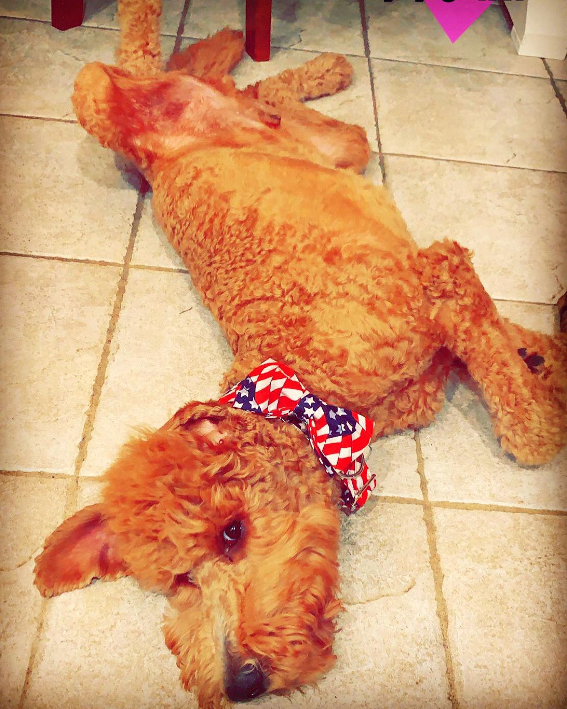 Abby Flanders and Tyler Kelley's Wedding Website