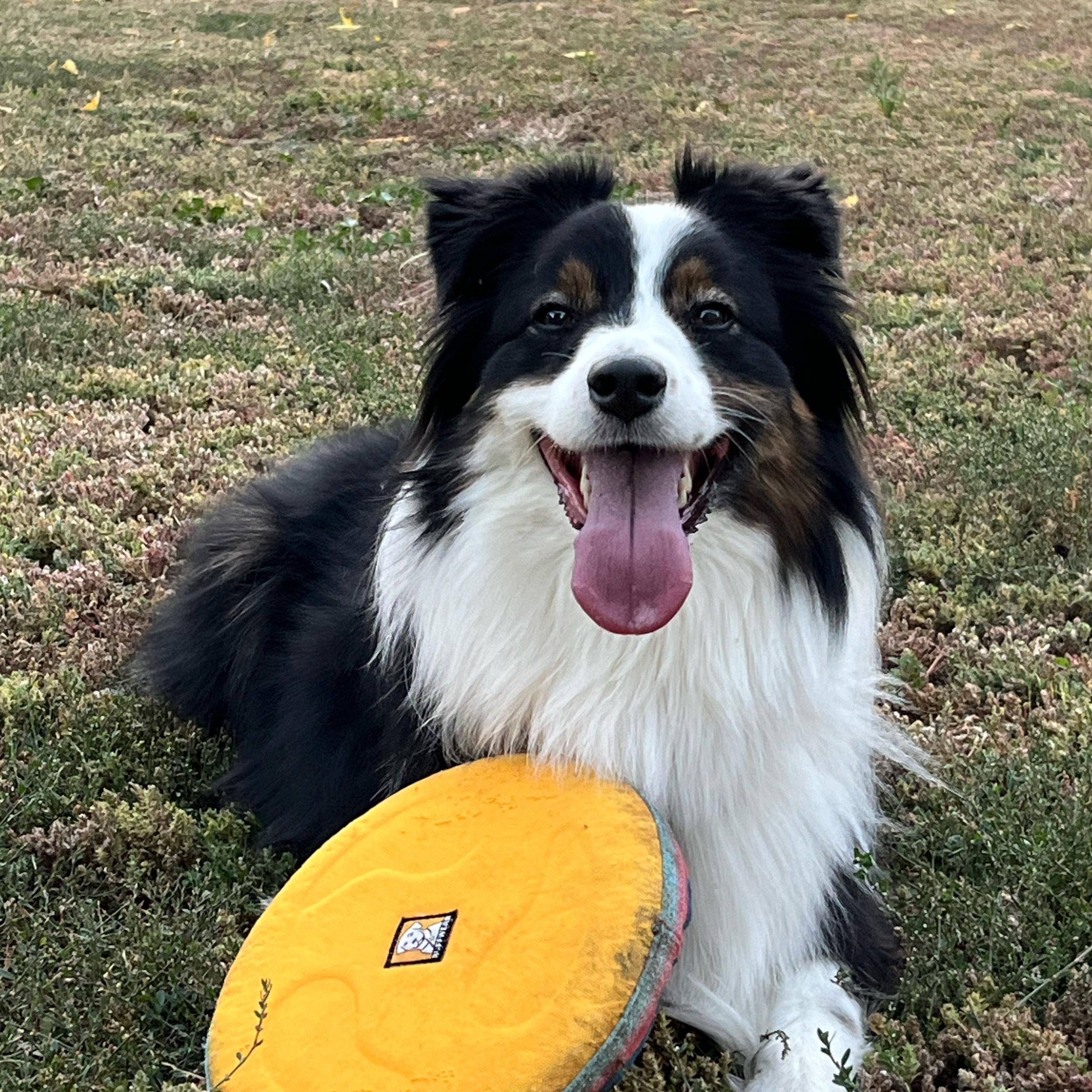 Sydney Moncrief and Caleb Bennett's Wedding Registry on Zola