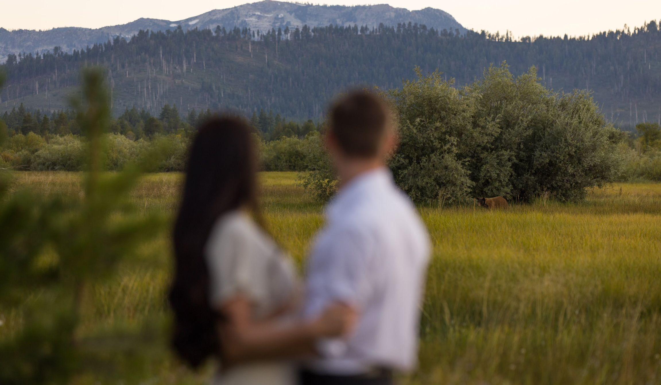 Devyne Totton and Cole Bell's Wedding Website