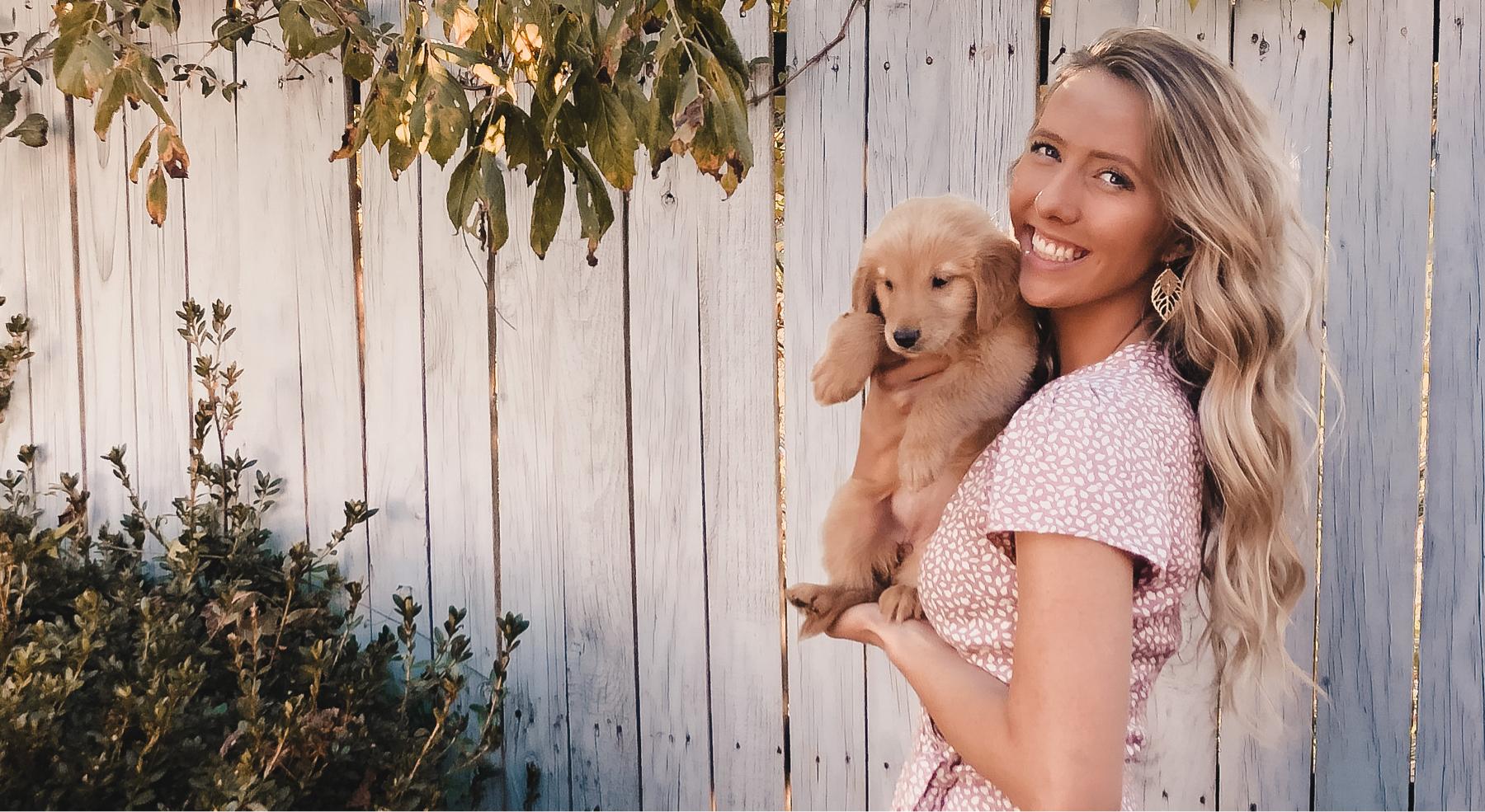 Riley son of Sauders - Sire and Millie Mae of Solomen- Dam's Wedding ...