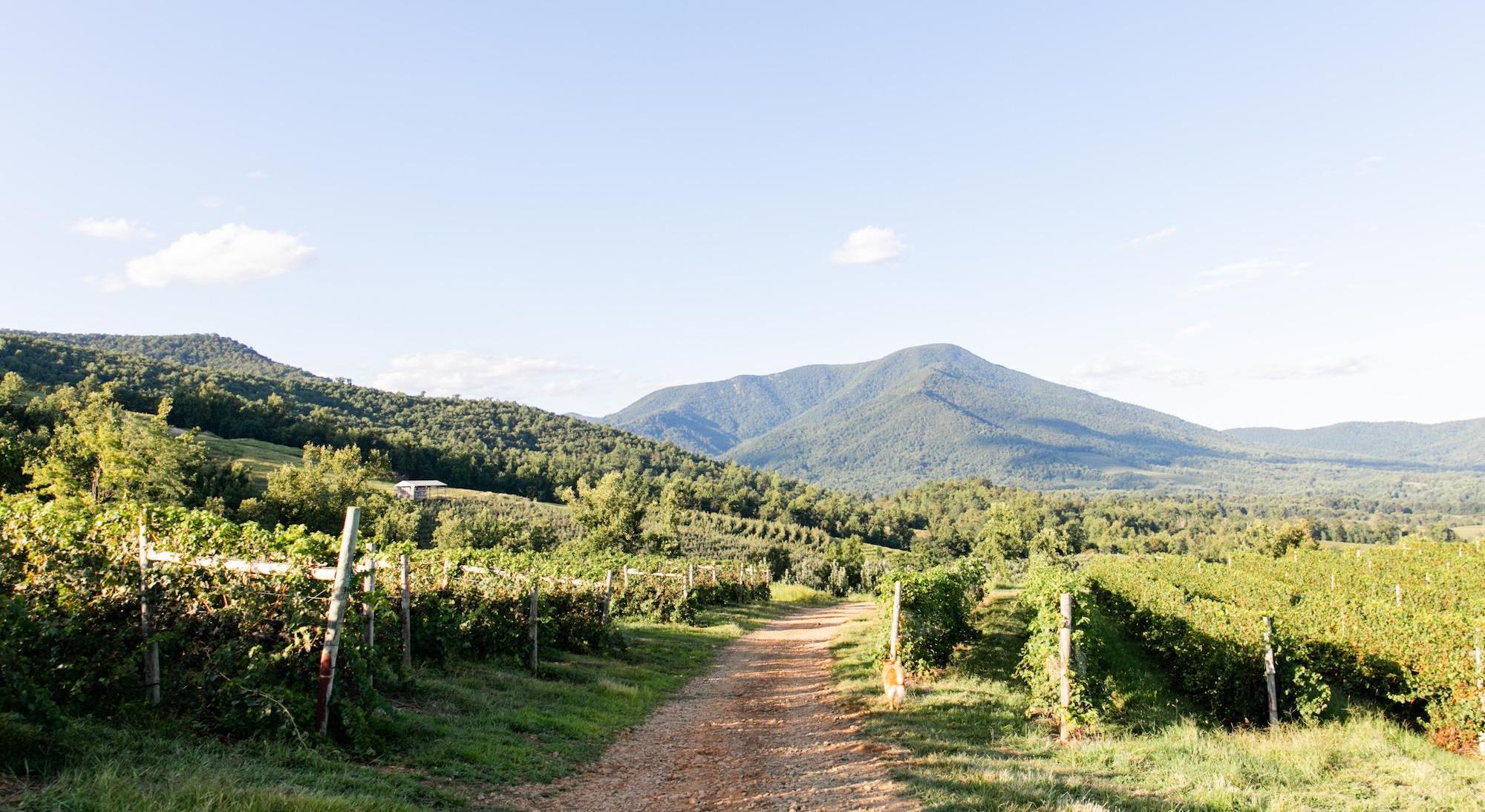 Perkins Morgan and George Huggins' Wedding Website