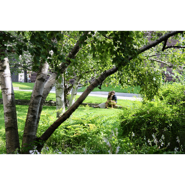 Tina Waring and Aaron Philipp-Muller's Wedding Website