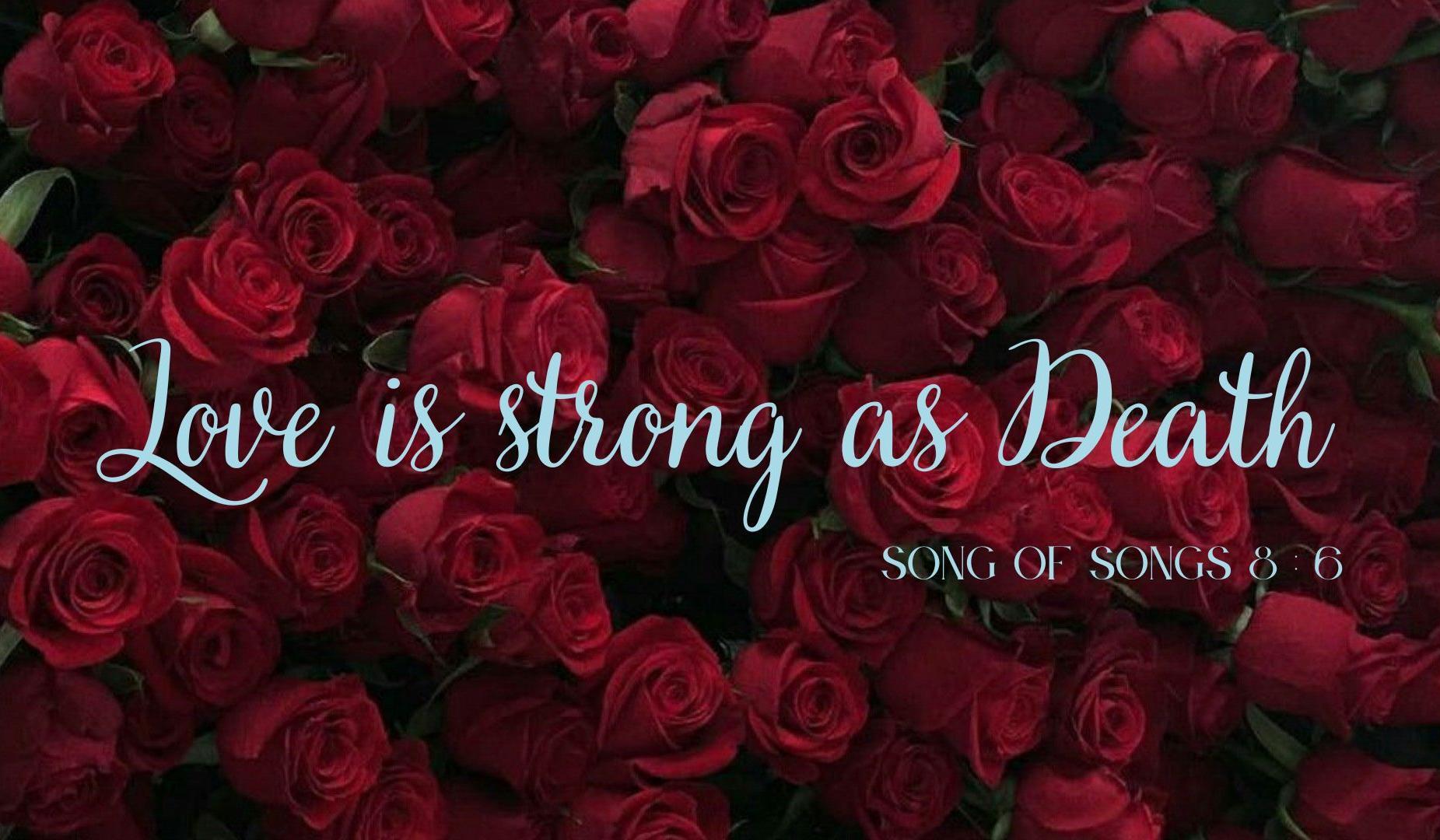 Maria Bogan and Jóse Quiceno's Wedding Website