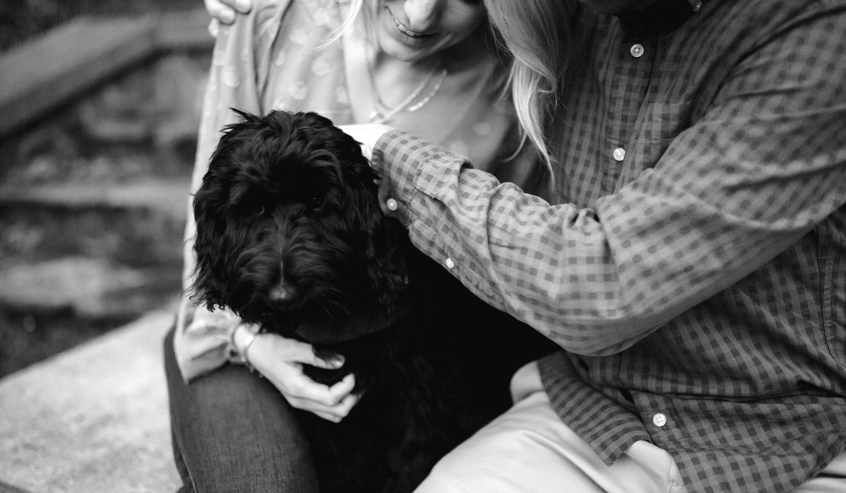 Alissa Sayles and Joshua Soper's Wedding Website