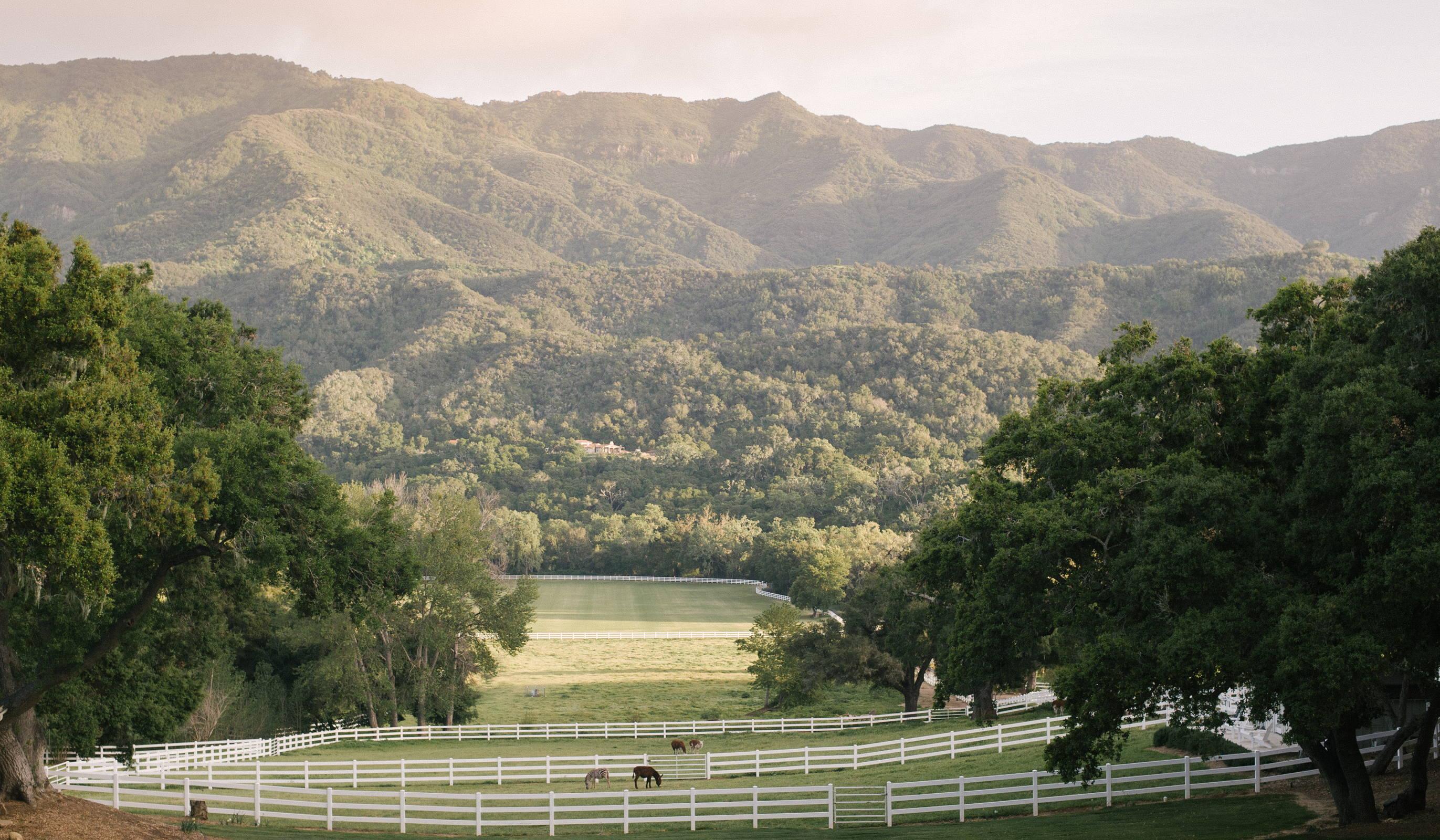 Tina Theriot and Matt Fisher's Wedding Website