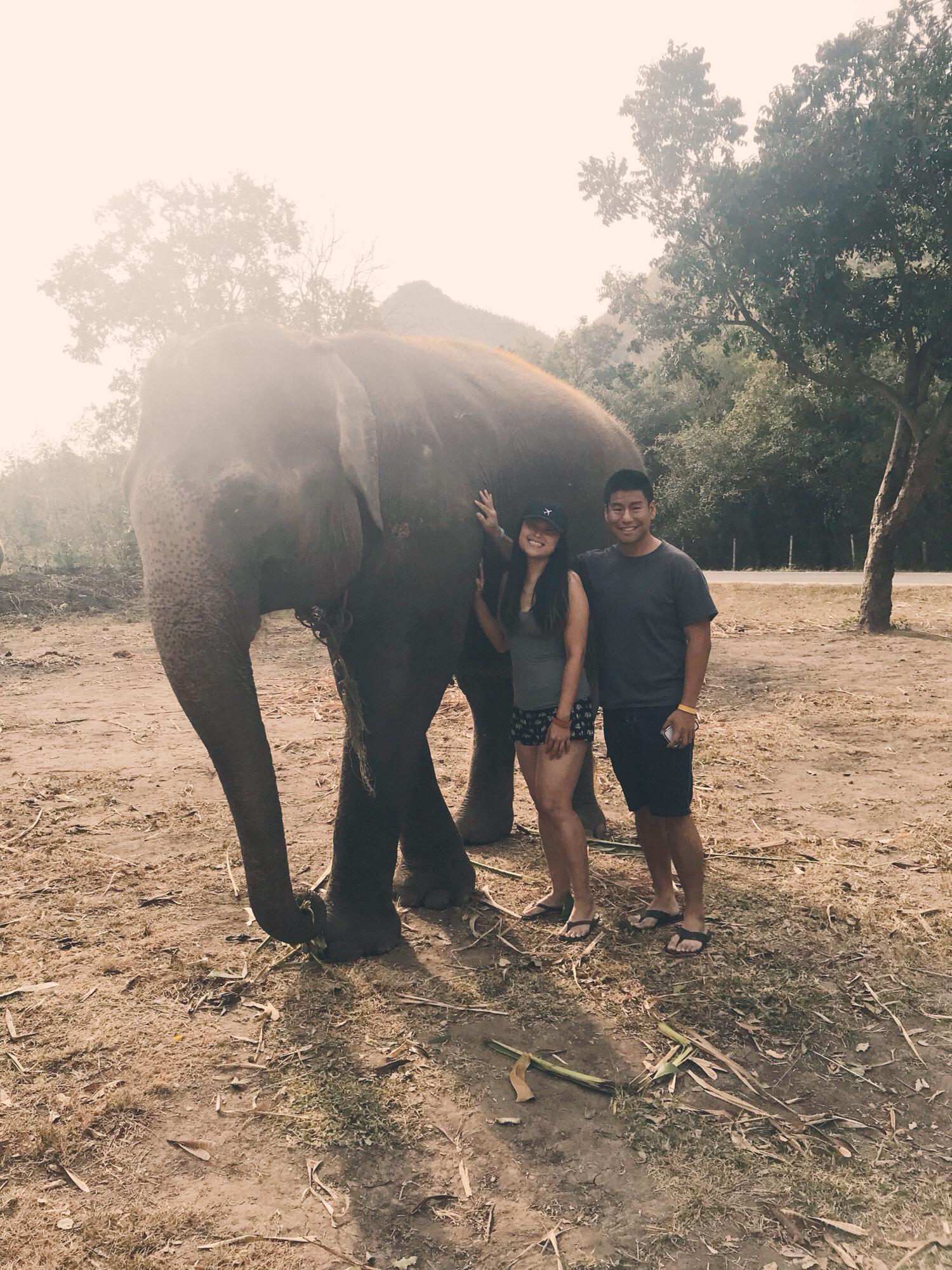 Caryn Lim and Julian Yuan's Wedding Website