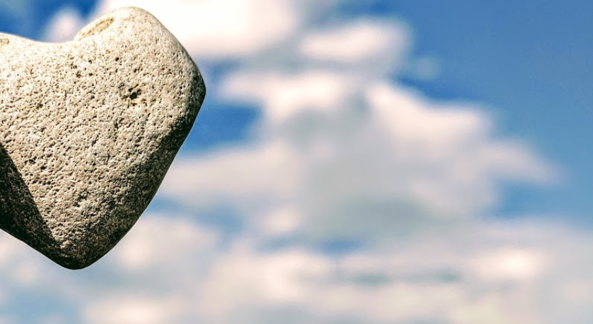 Rachel Siegel and Chris Minich's Wedding Website