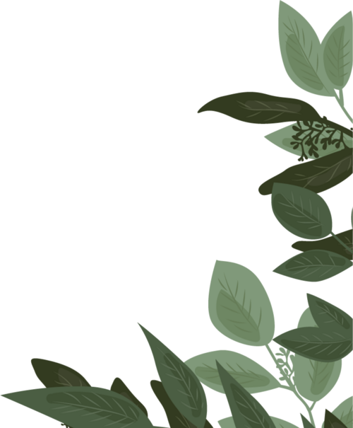 Katherine Marro and Anthony Walsh's Wedding Website